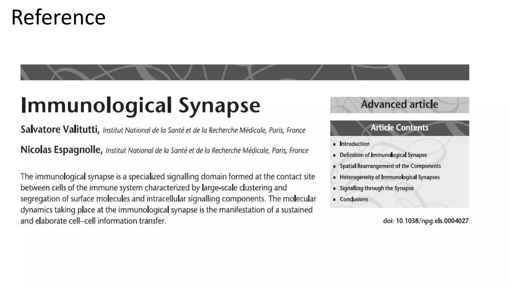 Immunological synapse | PPT | Free Download