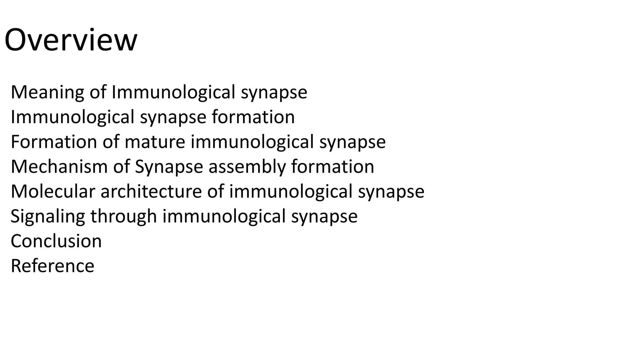 Immunological synapse | PPT