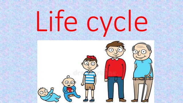 Presentation1 180422081713 | PPTX