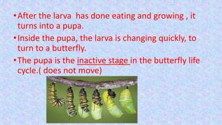 Presentation1 180422081713 | PPTX