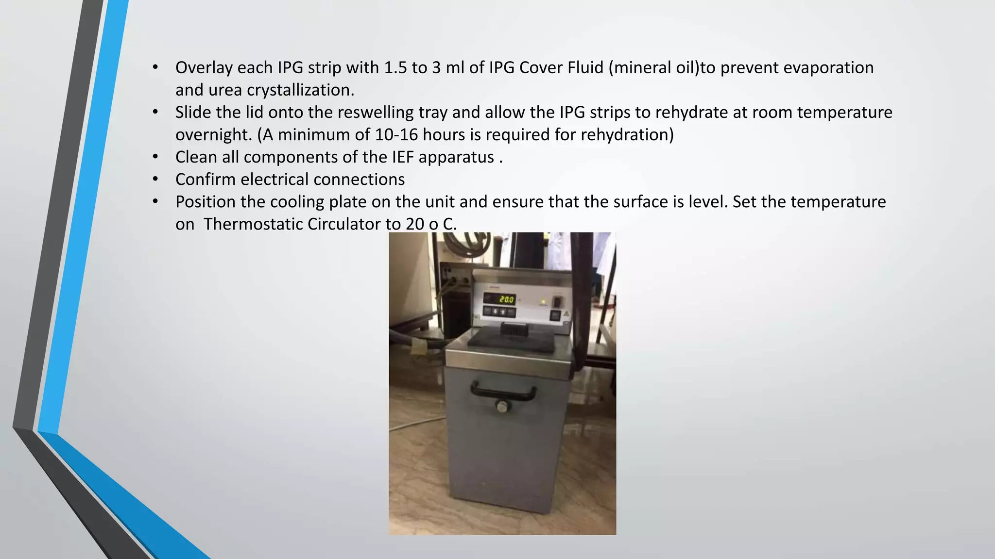 2 -D GEL ELECTROPHORESIS | PPTX