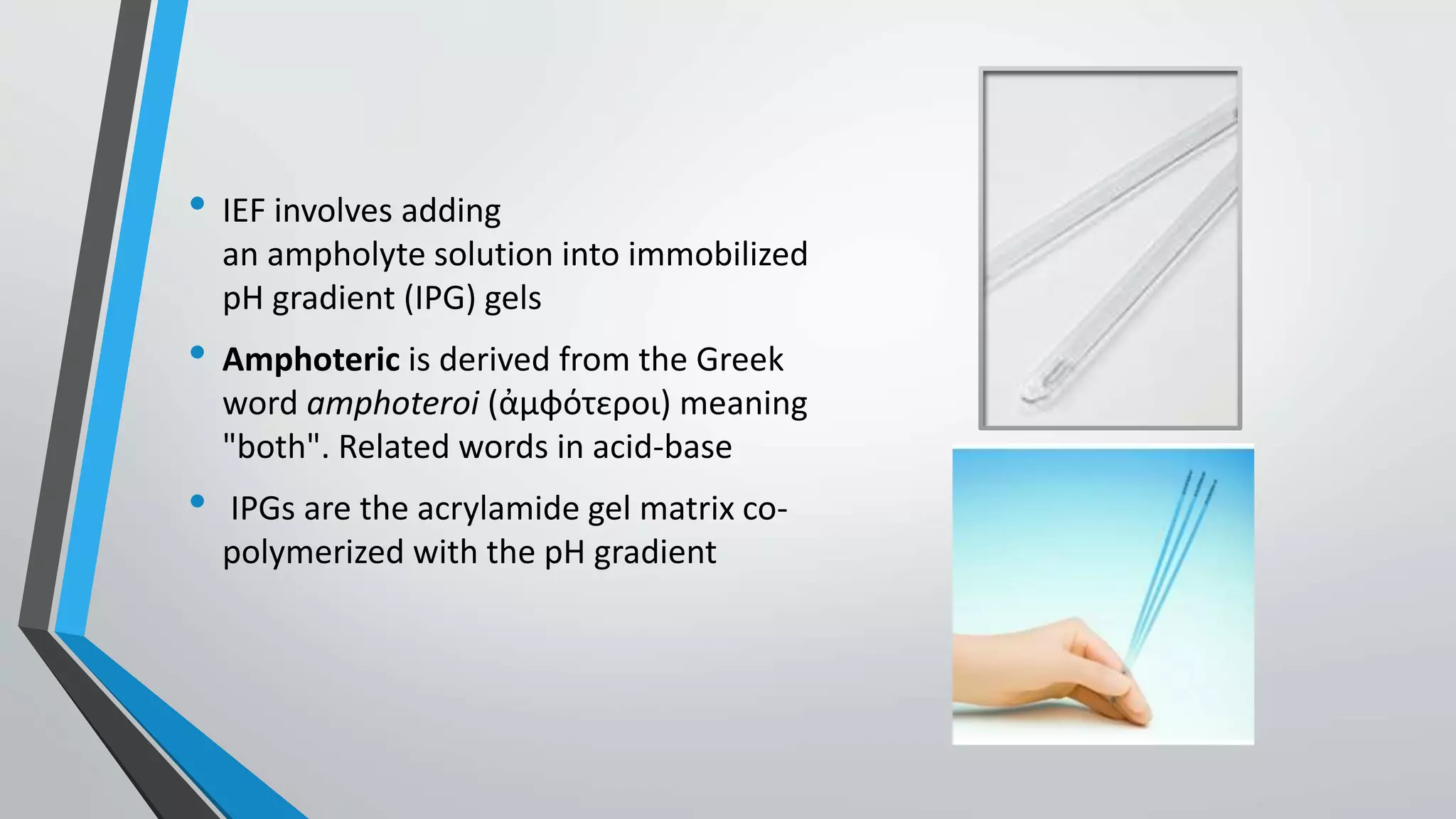 2 -D GEL ELECTROPHORESIS | PPTX