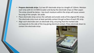 2 -D GEL ELECTROPHORESIS | PPTX