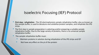2 -D GEL ELECTROPHORESIS | PPTX