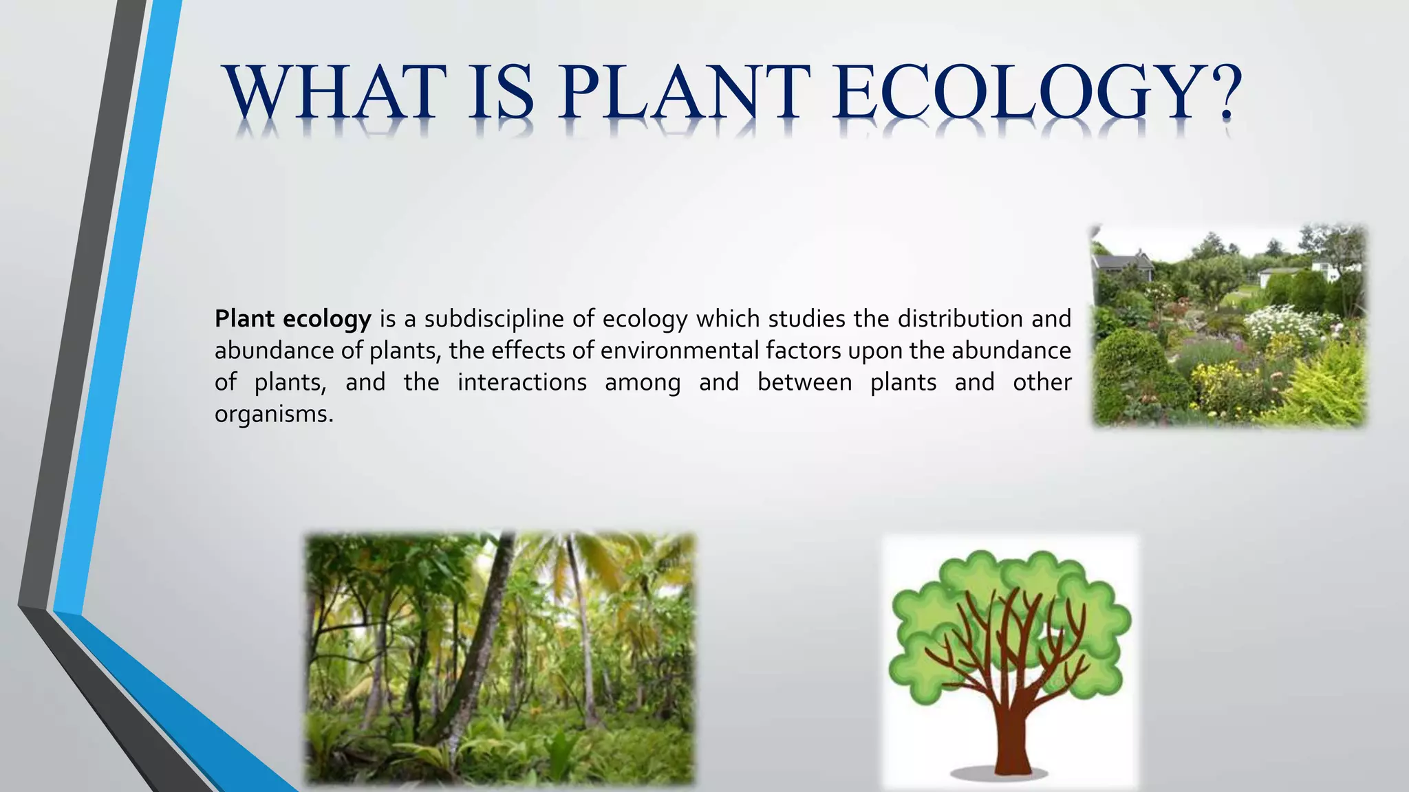 PLANT ECOLOGY | PPTX