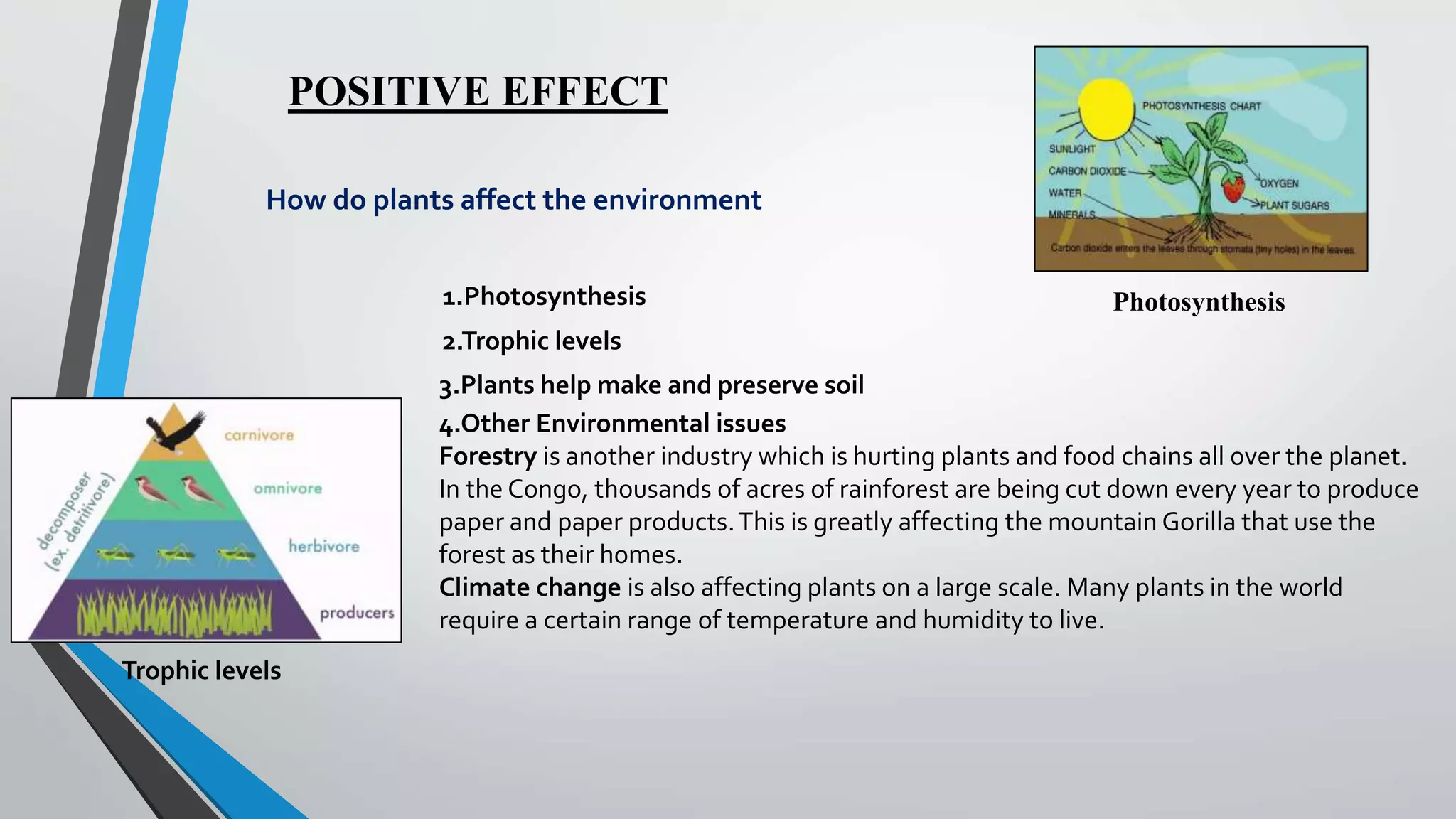 PLANT ECOLOGY | PPTX