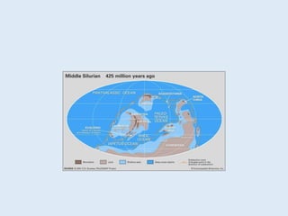 oceanography: waterland, oceans and water, composition of ocean water | PPT