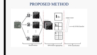 Remote Sensing Scene Classification by Unsupervised Representation ...