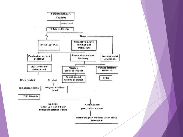 Perdarahan Saluran Cerna | PPT
