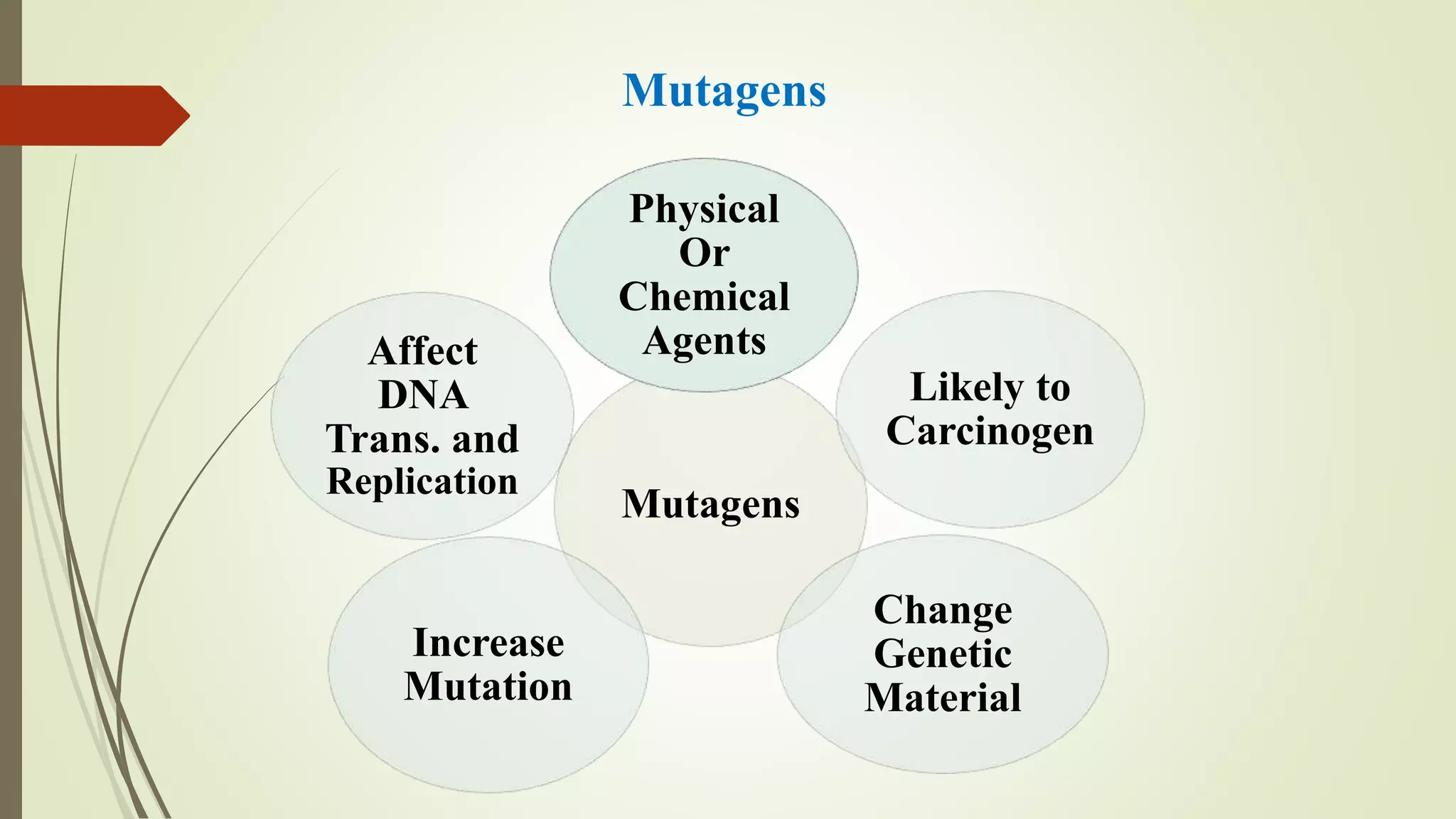 Classes of Toxic Chemicals and Their Effects | PPTX