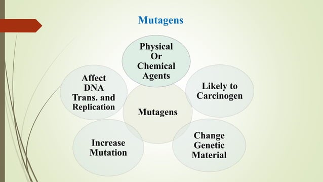 Classes of Toxic Chemicals and Their Effects | PPTX | Pregnancy | Reproductive Health