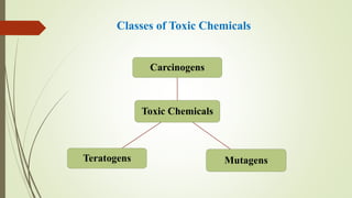 Classes of Toxic Chemicals and Their Effects | PPTX