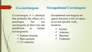 Classes of Toxic Chemicals and Their Effects | PPTX