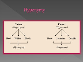 Lexical relations | PPTX