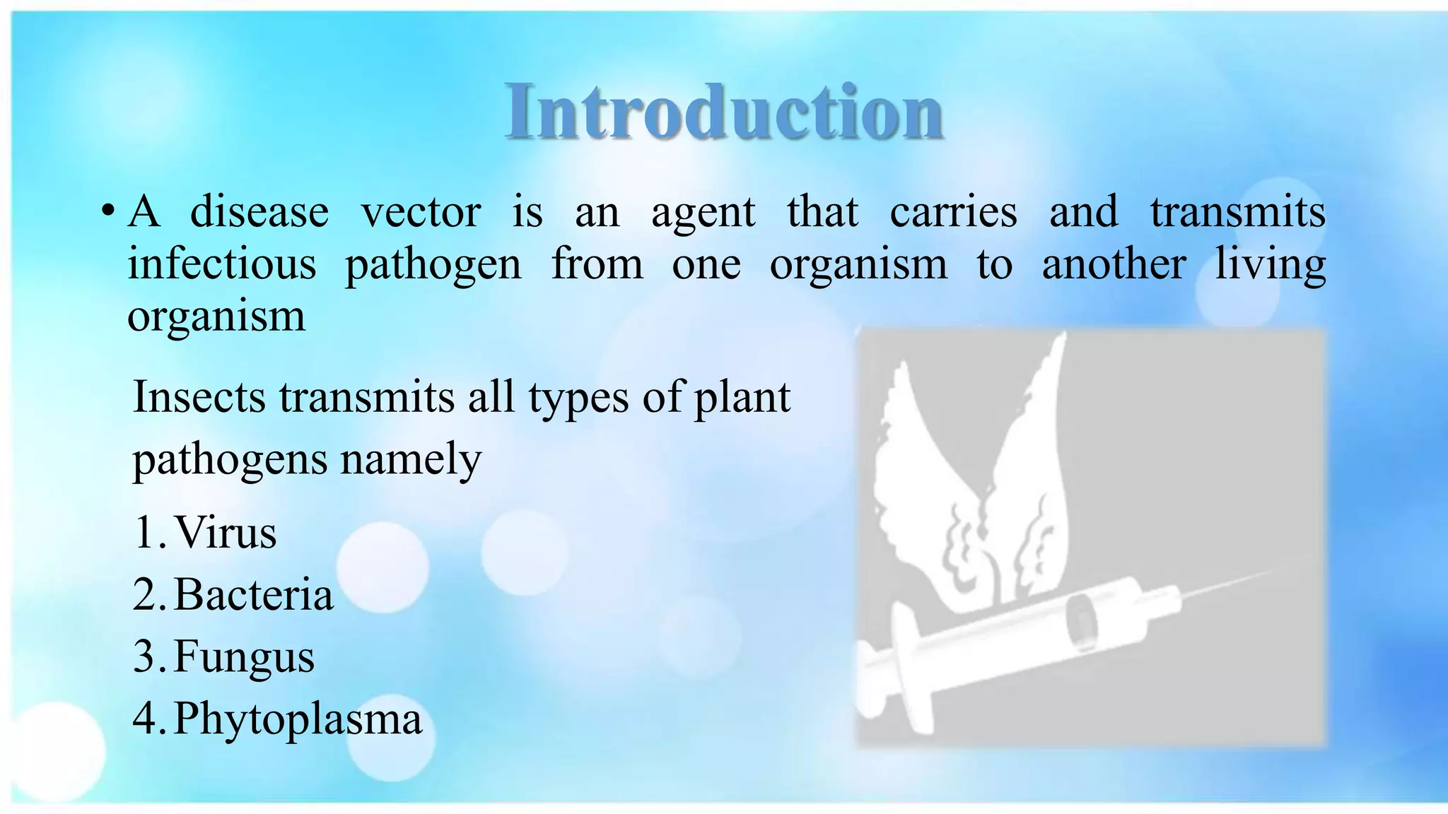 Insect Vector of Plant Viral Diseases | PPTX