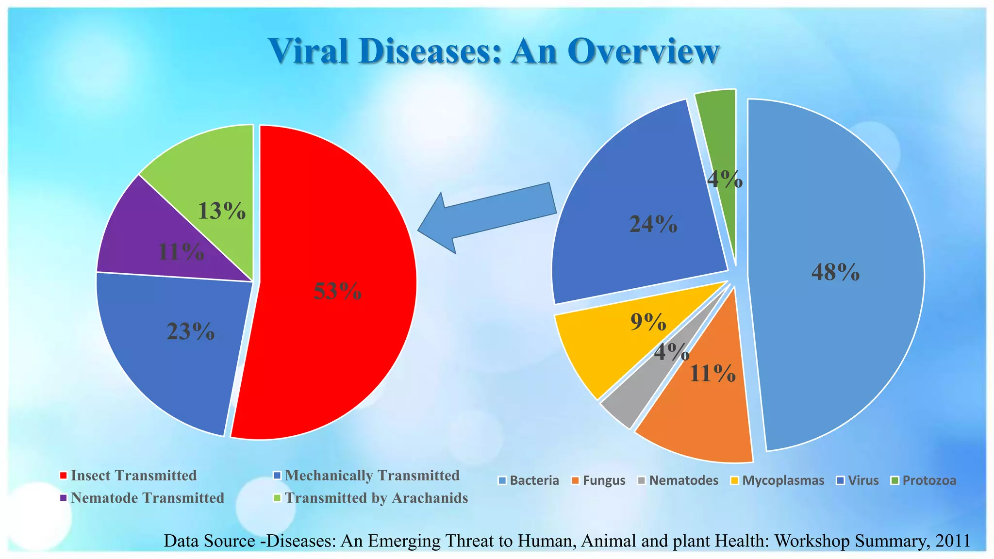 Insect Vector of Plant Viral Diseases | PPTX