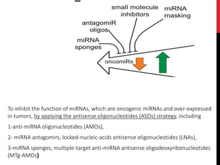 micro RNA | PPTX