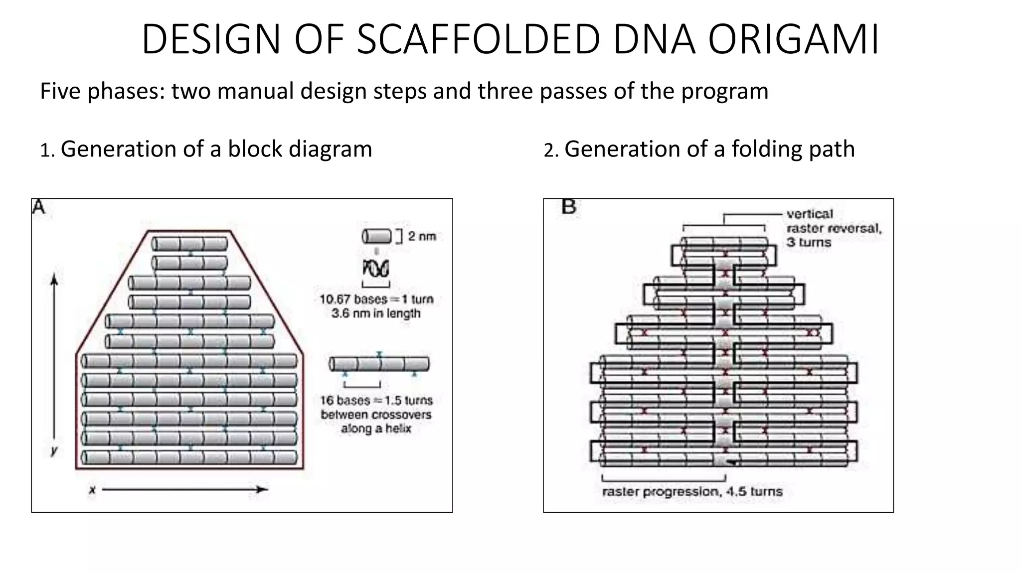 DNA Origami | PPTX