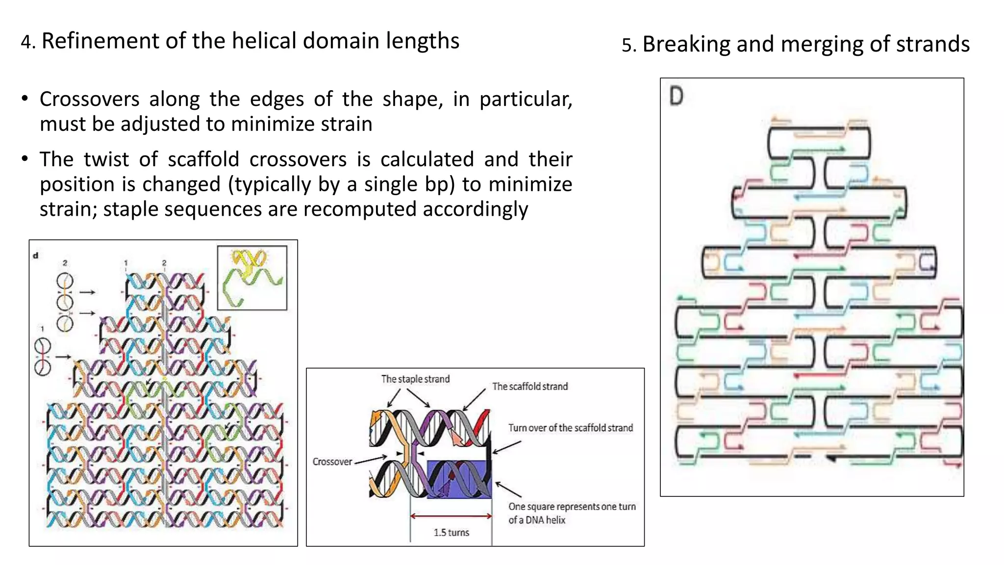 DNA Origami | PPTX