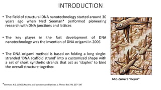 DNA Origami | PPTX