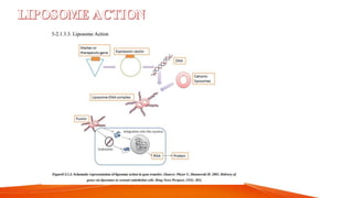 liposome mediated gene delivery | PPTX | Biological Sciences | Science