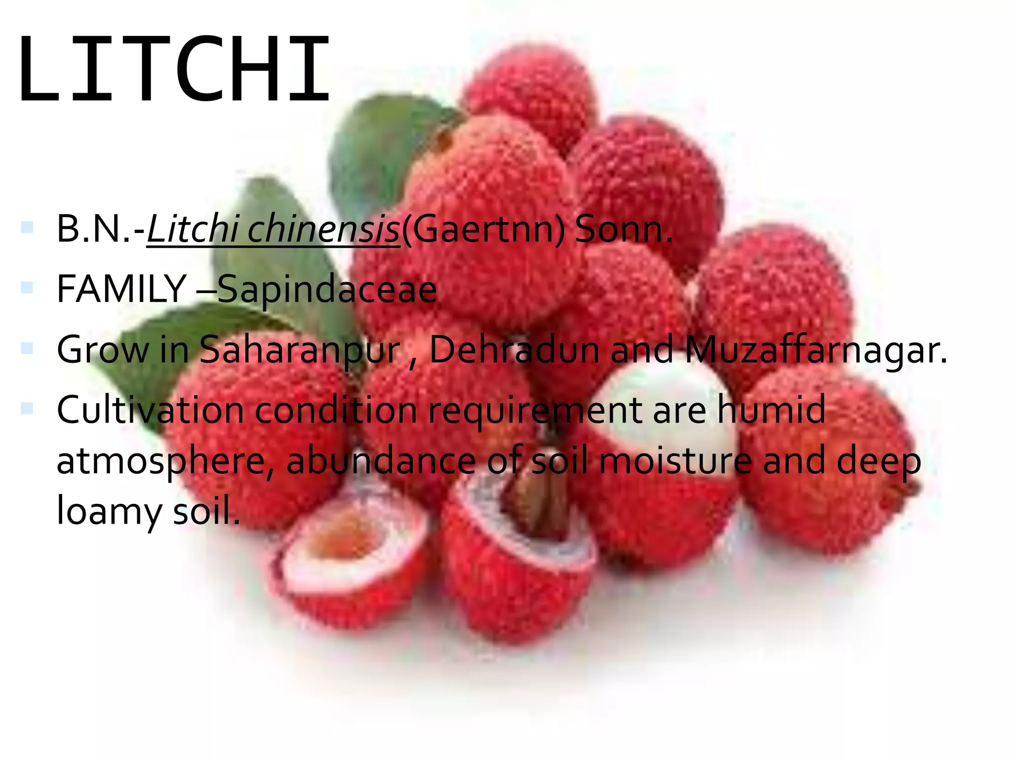 Importance and uses of citrus and litchi fruits | PPTX