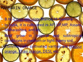 Importance and uses of citrus and litchi fruits | PPTX