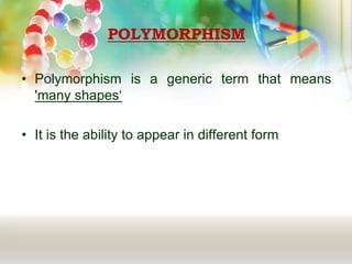 Presentation1 | PPTX