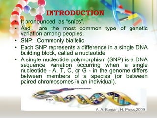 Presentation1 | PPTX