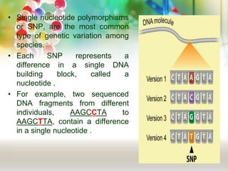Presentation1 | PPTX