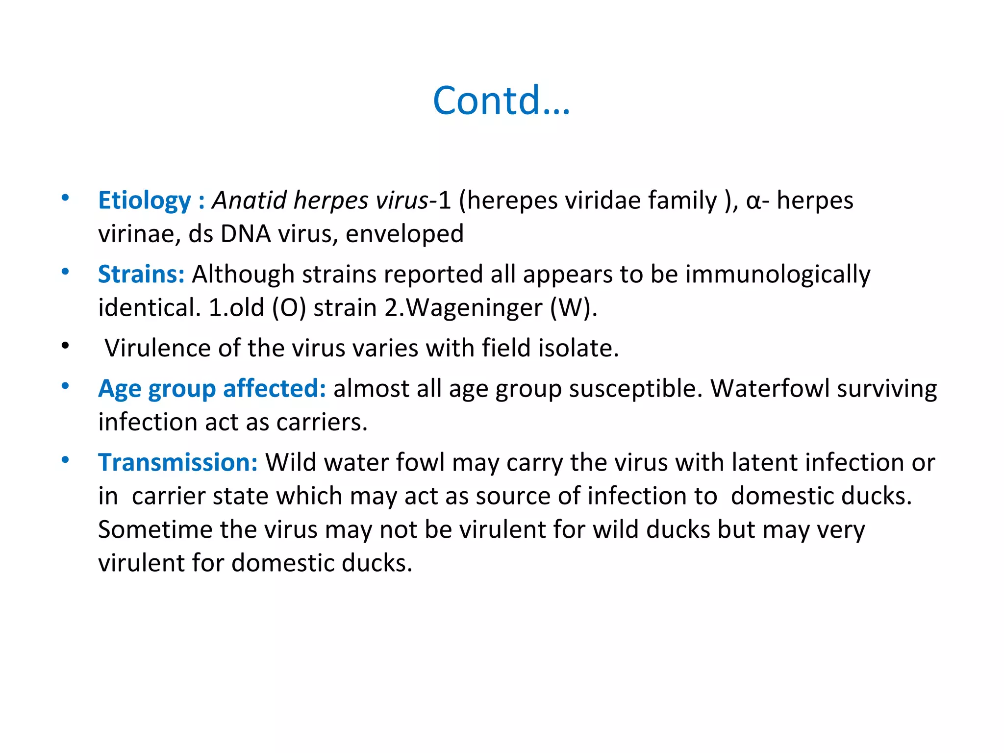 Duck plague a glance/ Duck viral enteritis | PPT
