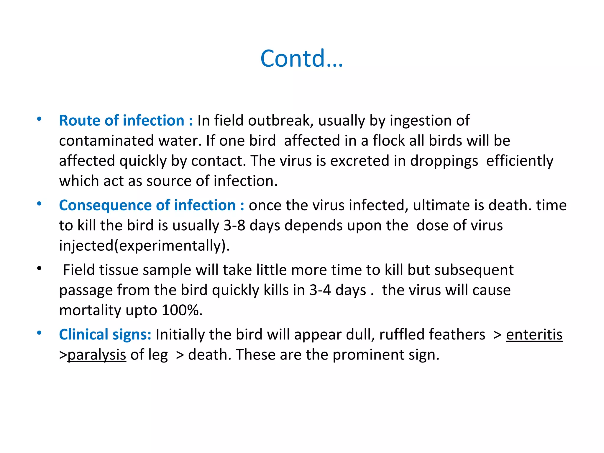 Duck plague a glance/ Duck viral enteritis | PPT