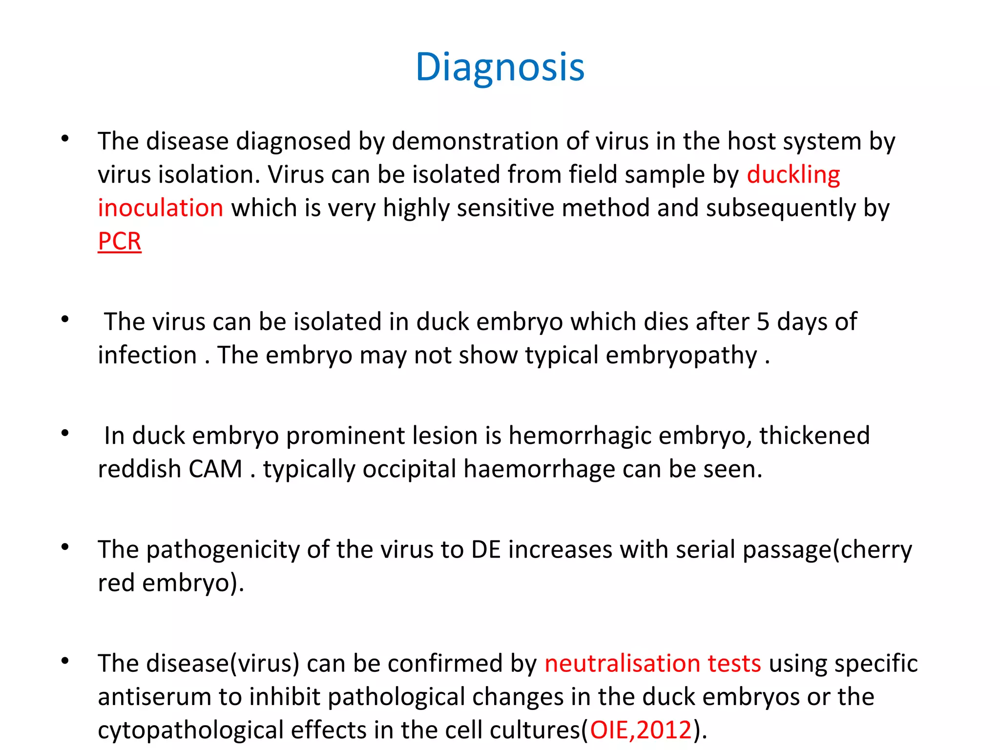 Duck plague a glance/ Duck viral enteritis | PPT