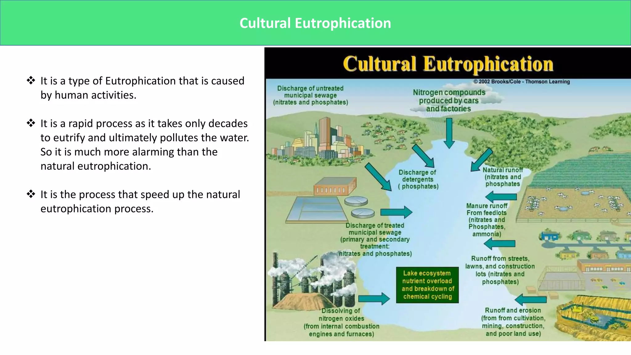 Microbial Dynamics in Eutrophication | PPT