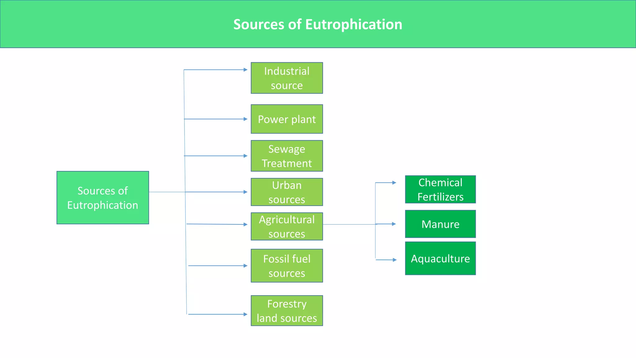 Microbial Dynamics in Eutrophication | PPT