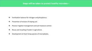 Microbial Dynamics in Eutrophication | PPT