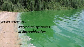 Microbial Dynamics in Eutrophication | PPT