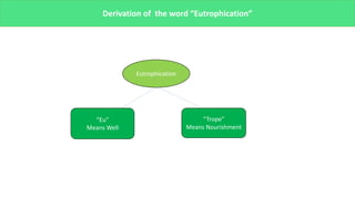 Microbial Dynamics in Eutrophication | PPT