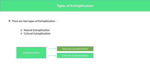 Microbial Dynamics in Eutrophication | PPT