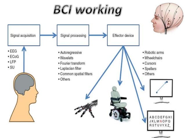 Brain Computer Interface | PPT