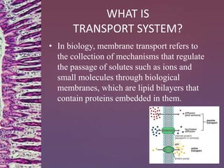 PASSIVE TRANSPORT SYSTEM | PPTX