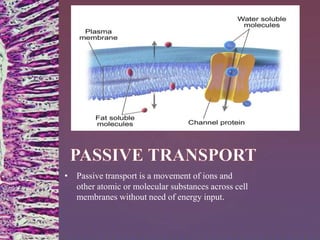 PASSIVE TRANSPORT SYSTEM | PPTX | Chemistry | Science