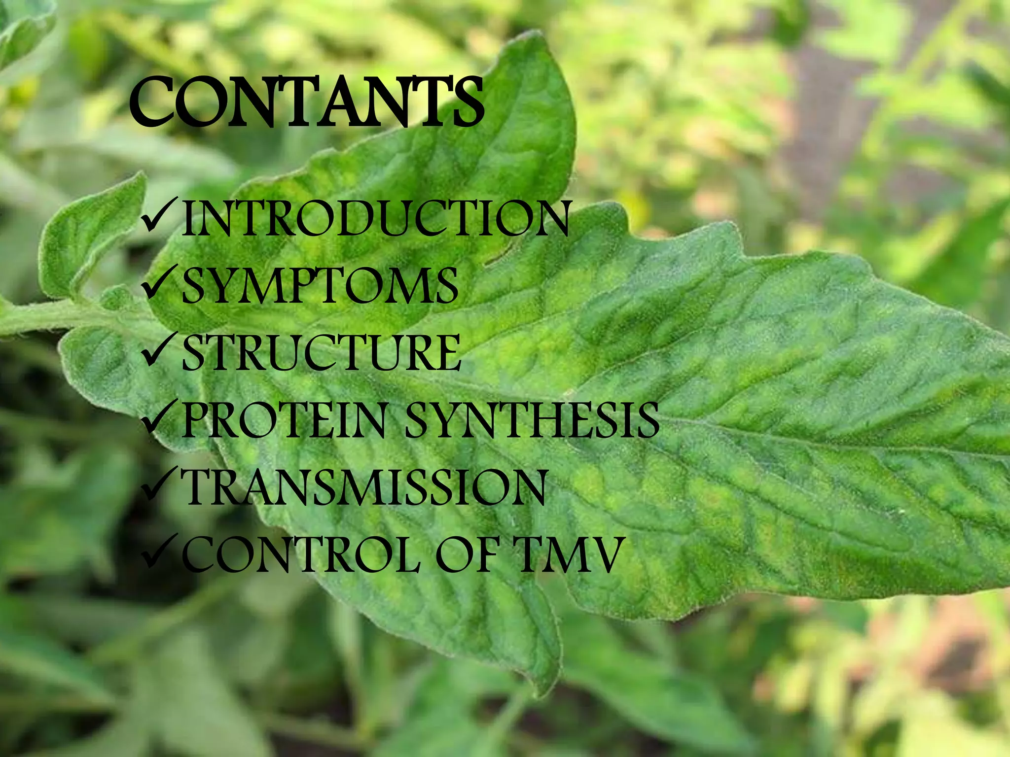 tobacco mosaic virus | PPTX