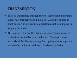 tobacco mosaic virus | PPTX