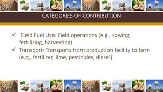 Life Cycle Assessment | PPTX | Agriculture | Industries