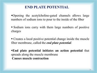 Presentation NEUROMUSCULAR JUNCTION | PPTX | Brain and Nervous System ...