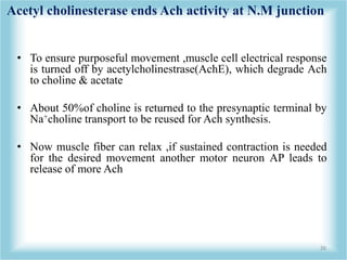Presentation NEUROMUSCULAR JUNCTION | PPTX