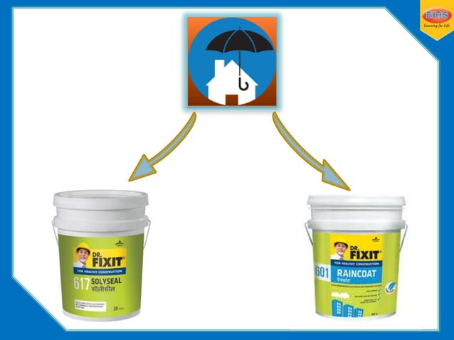 Pidilite company presentation | PPTX