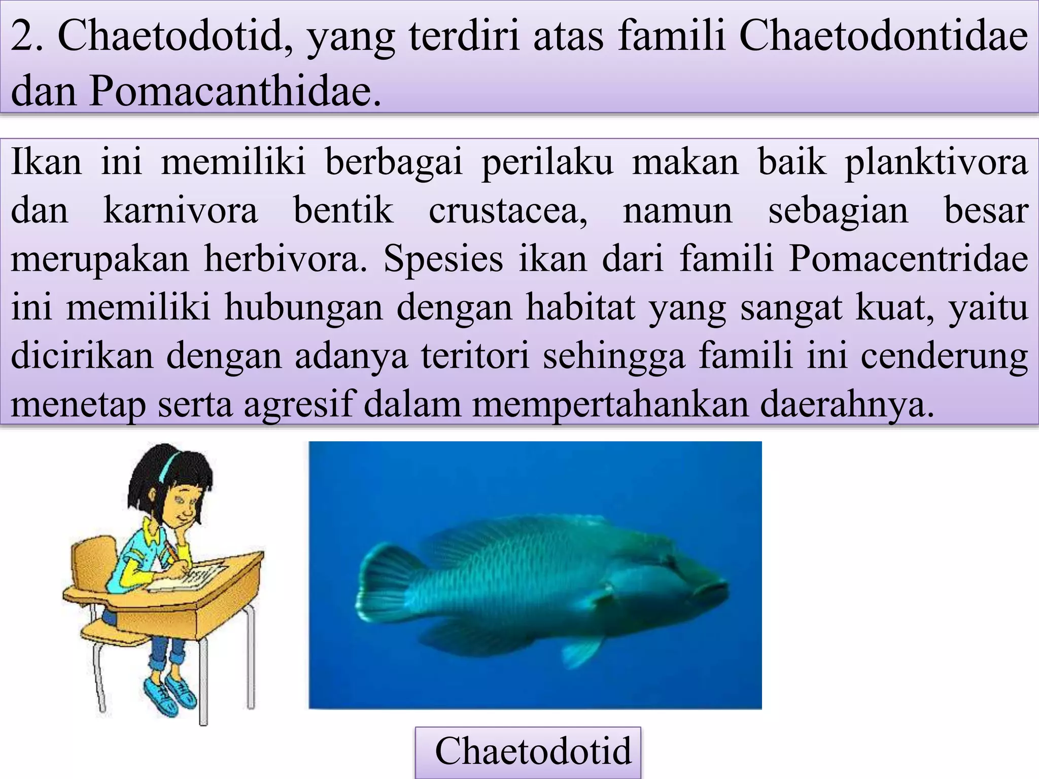 INVENTARISASI JENIS- JENIS IKAN KARANG | PPTX