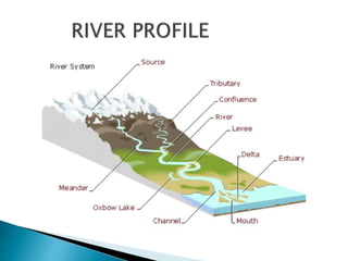 river and its view | PPTX